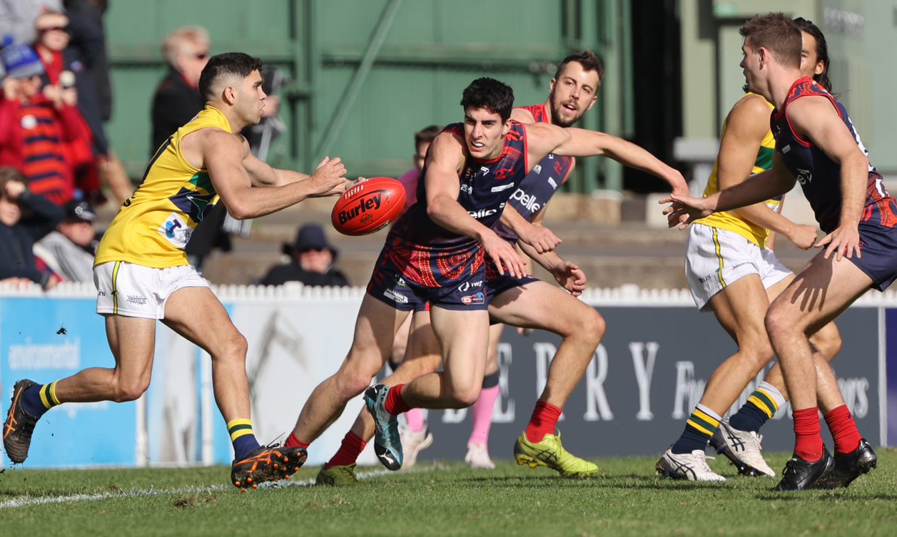 Statewide Super League Qualifying Final Preview - SANFL