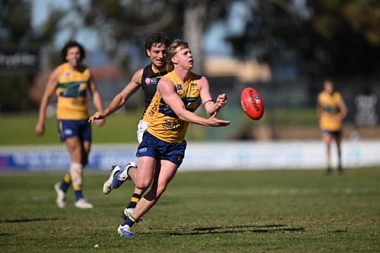 Blake Hansen wins 2025 Reserves Magarey Medal - SANFL