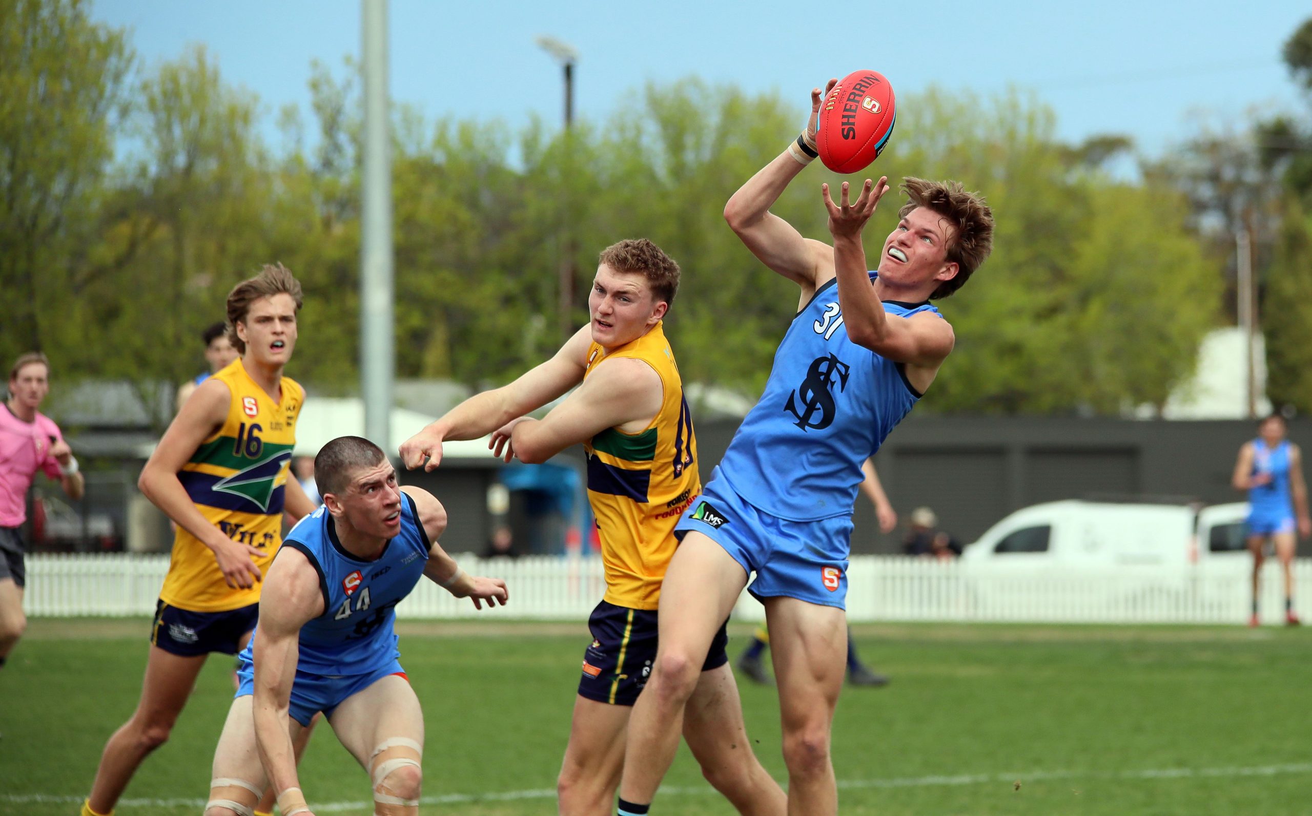 SANFL U18 Preliminary Final Match Wrap - SANFL
