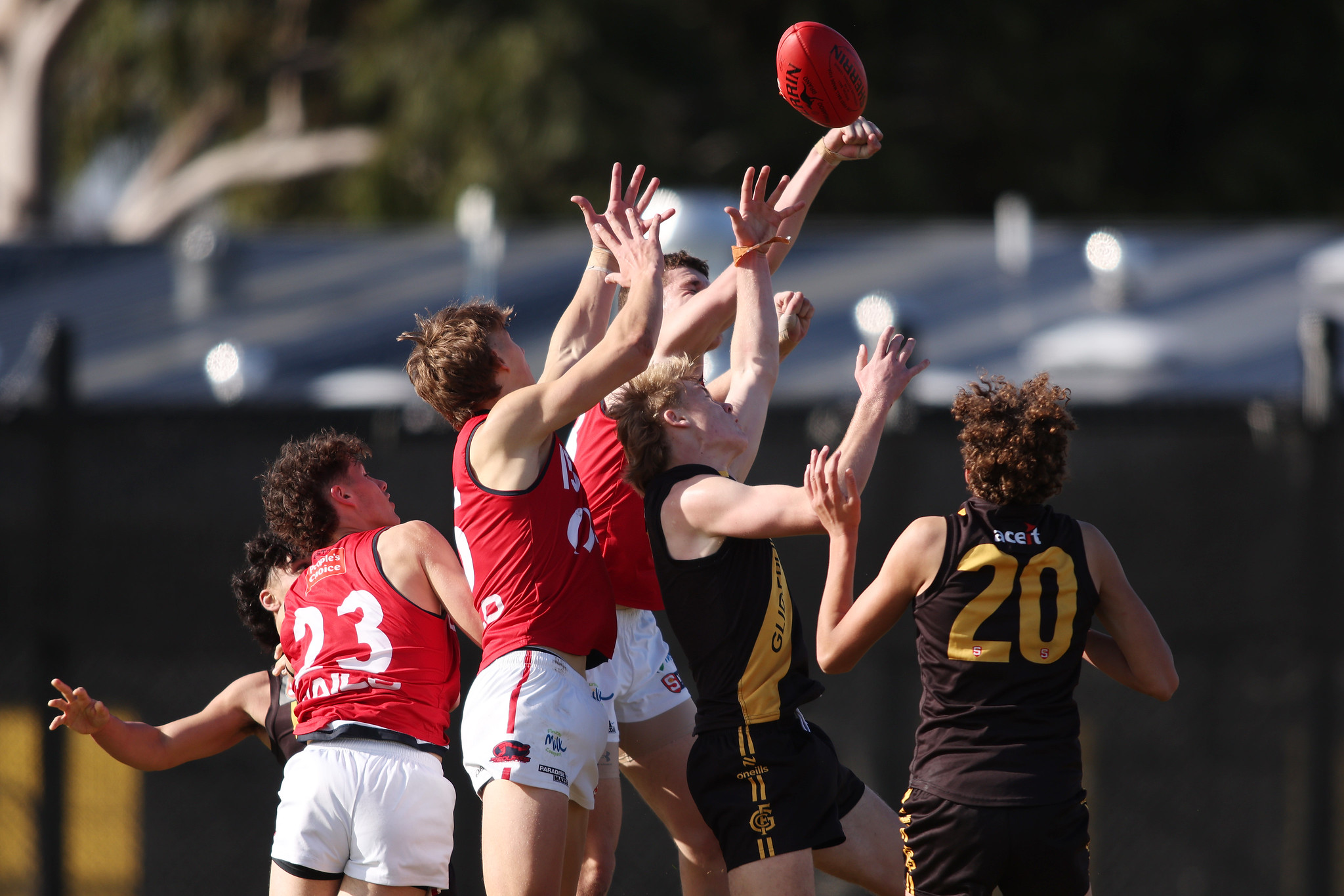 U18 & U16 Teams - Round 16 - Norwood Football Club