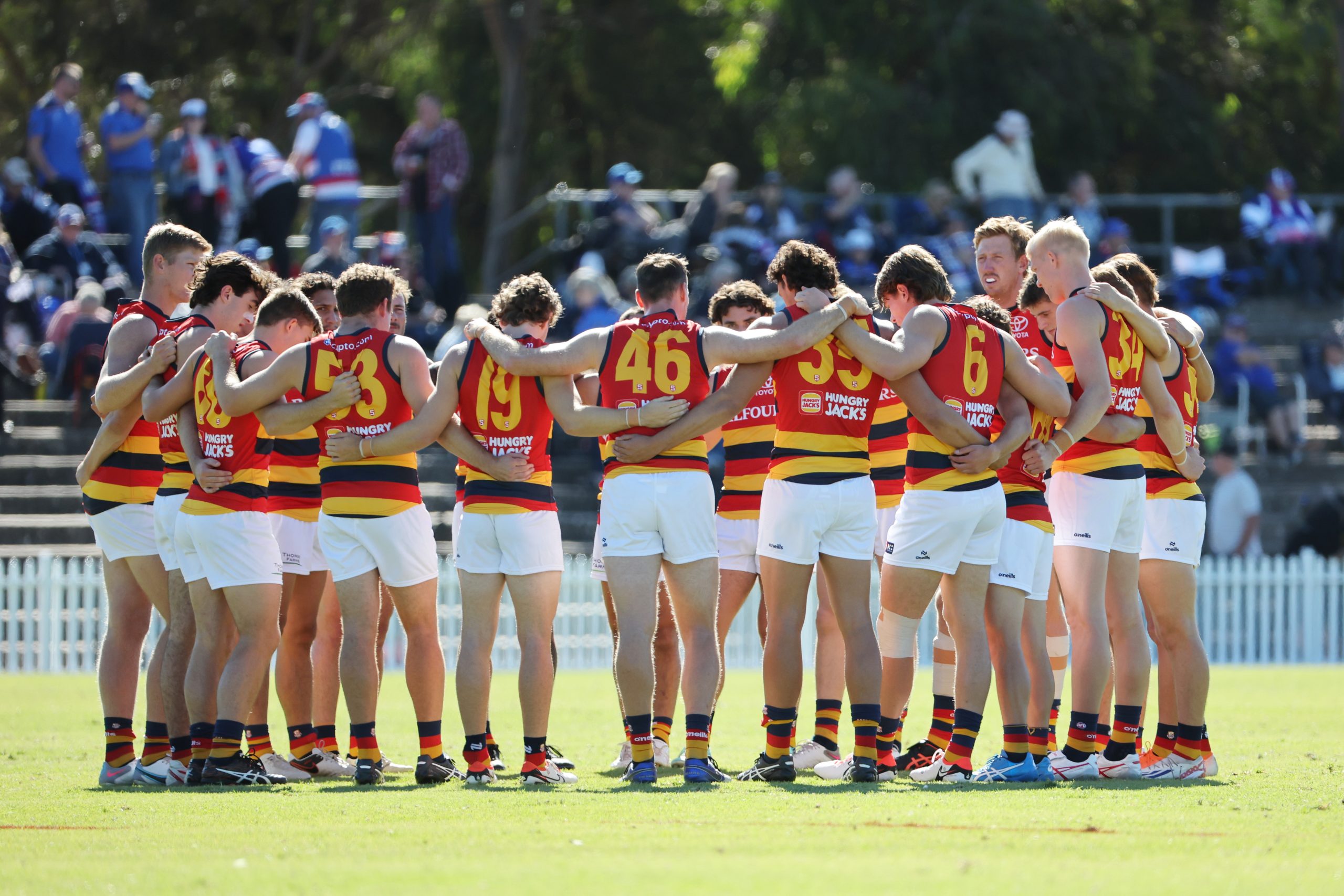Daniel Curtin - Adelaide - SANFL