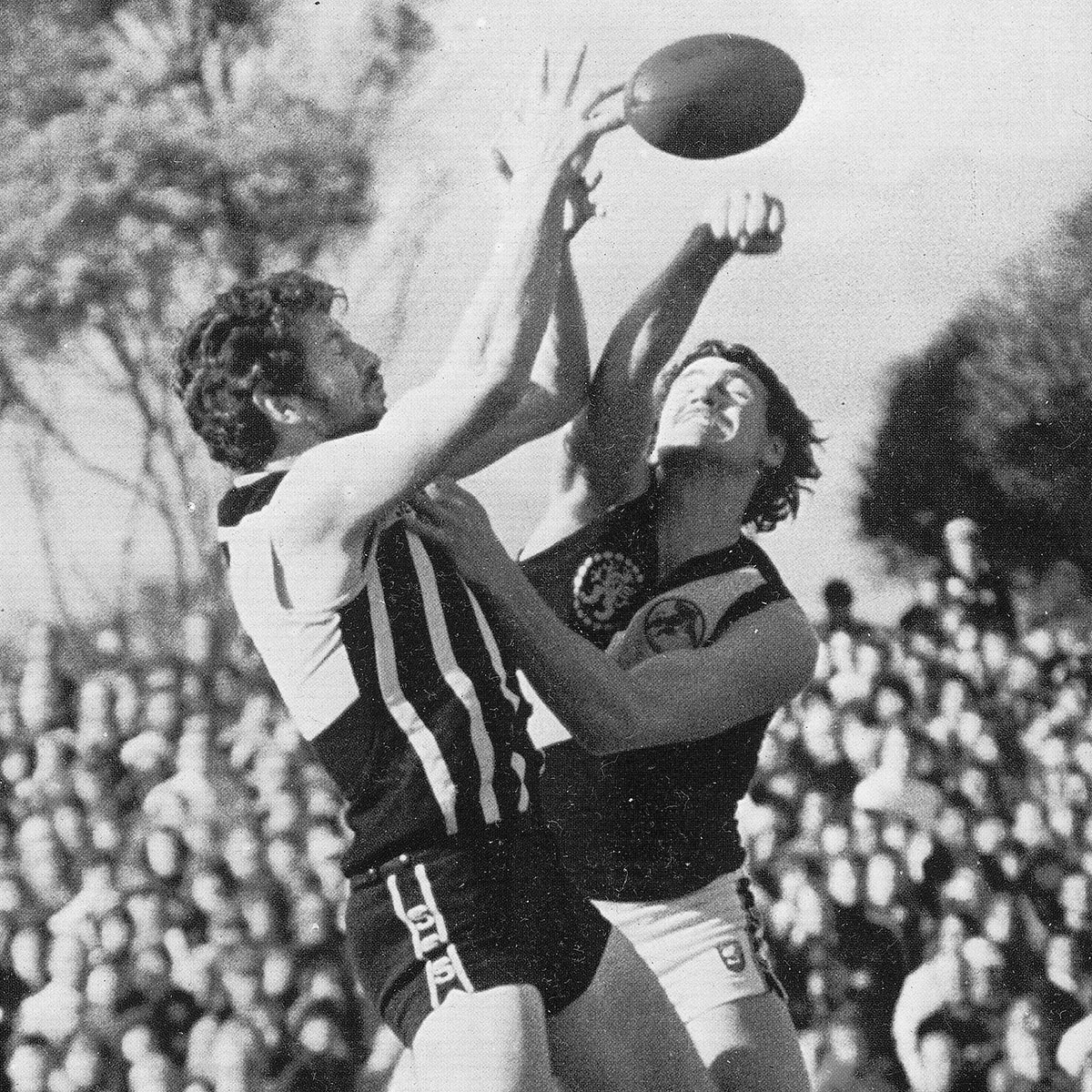 Tim N. Evans - SANFL