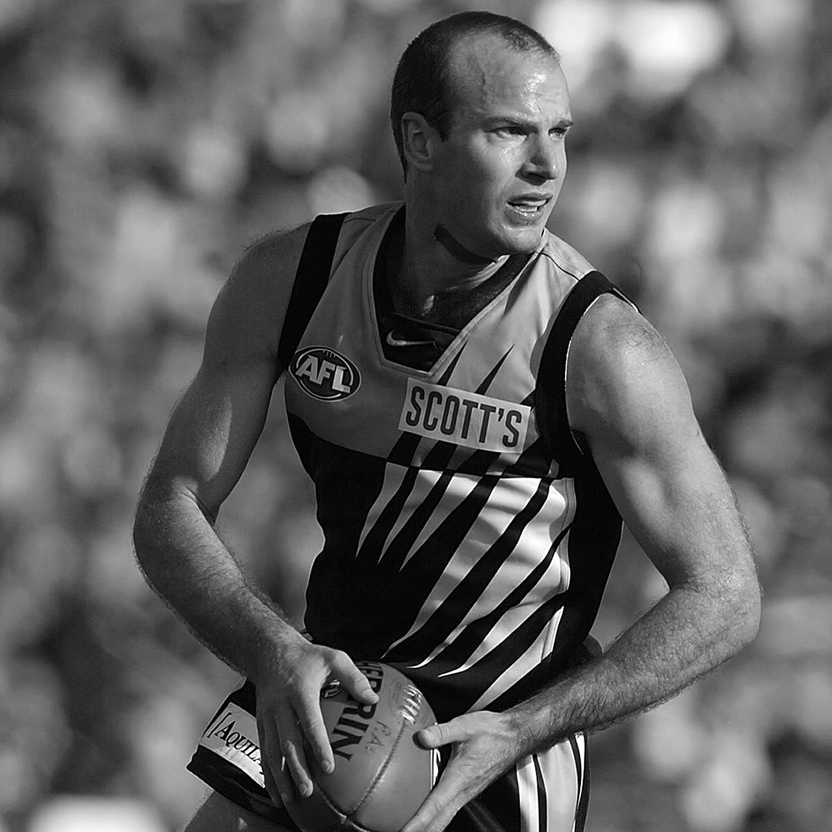 Josh Francou - SANFL