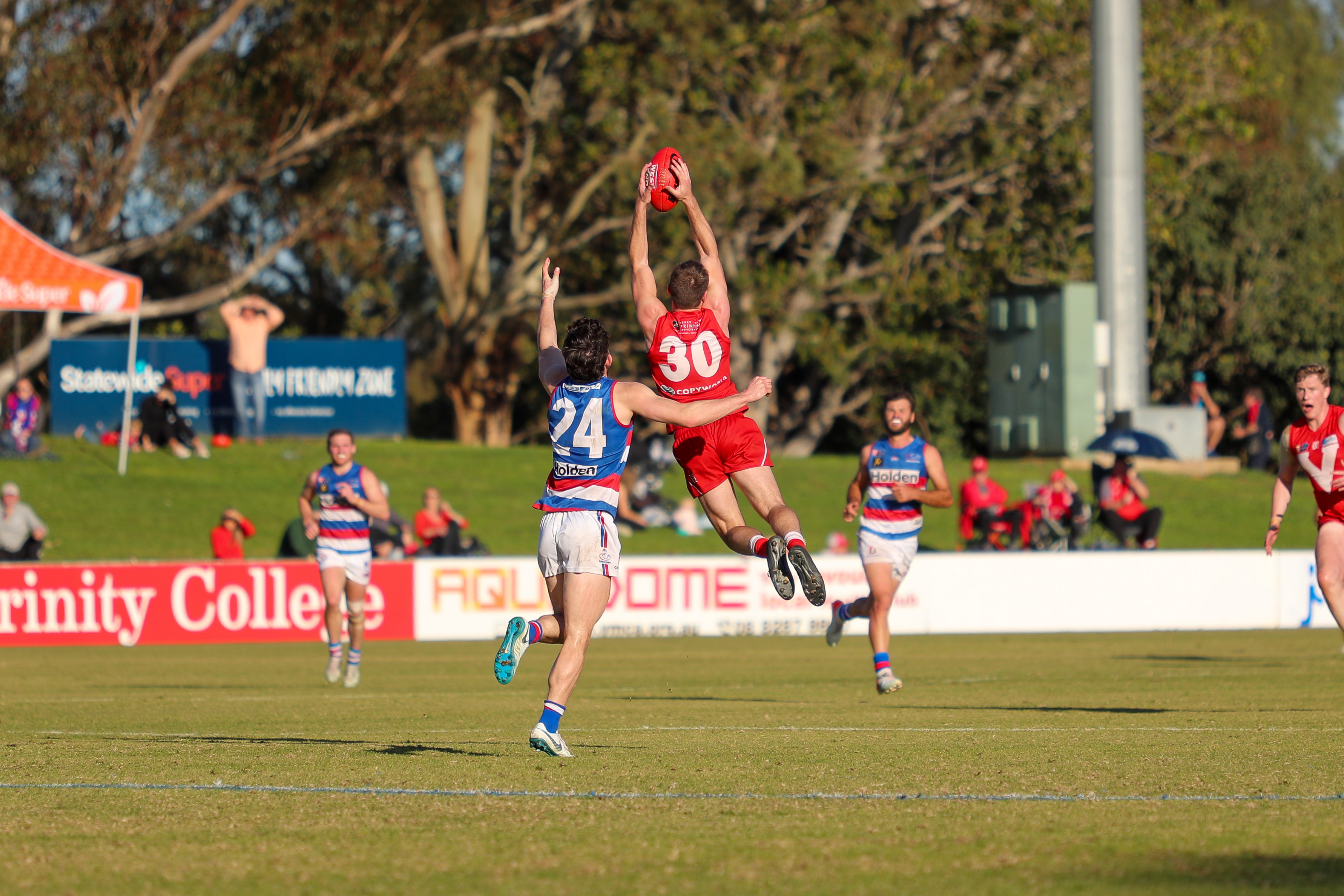Roosters Rise Again - SANFL