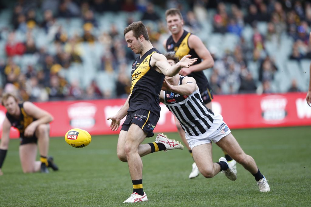 Statewide Super League Grand Final Preview - SANFL