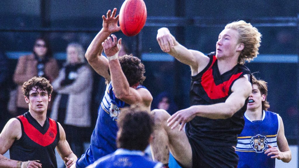 Torrens University Draft Target - Ned Carey - SANFL