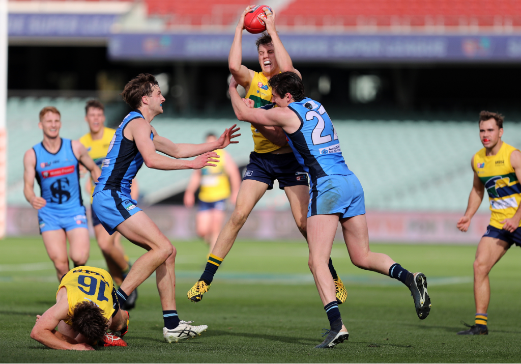 Hayes Engineering the Ultimate Success - SANFL