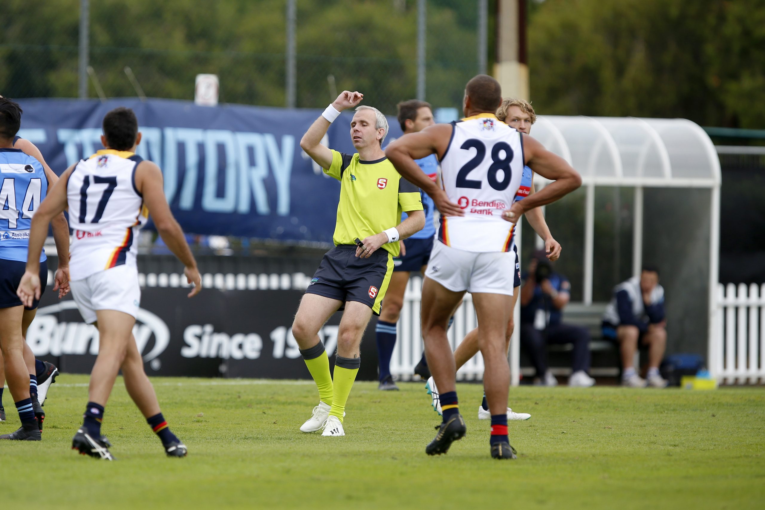 2020 Statewide Super League Grand Final Umpires - SANFL