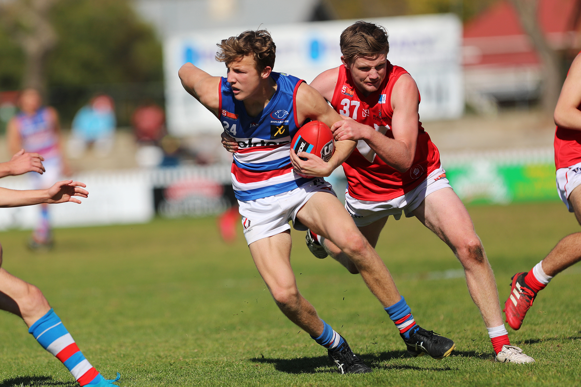 Round 5 Torrens University Cup Wrap - SANFL
