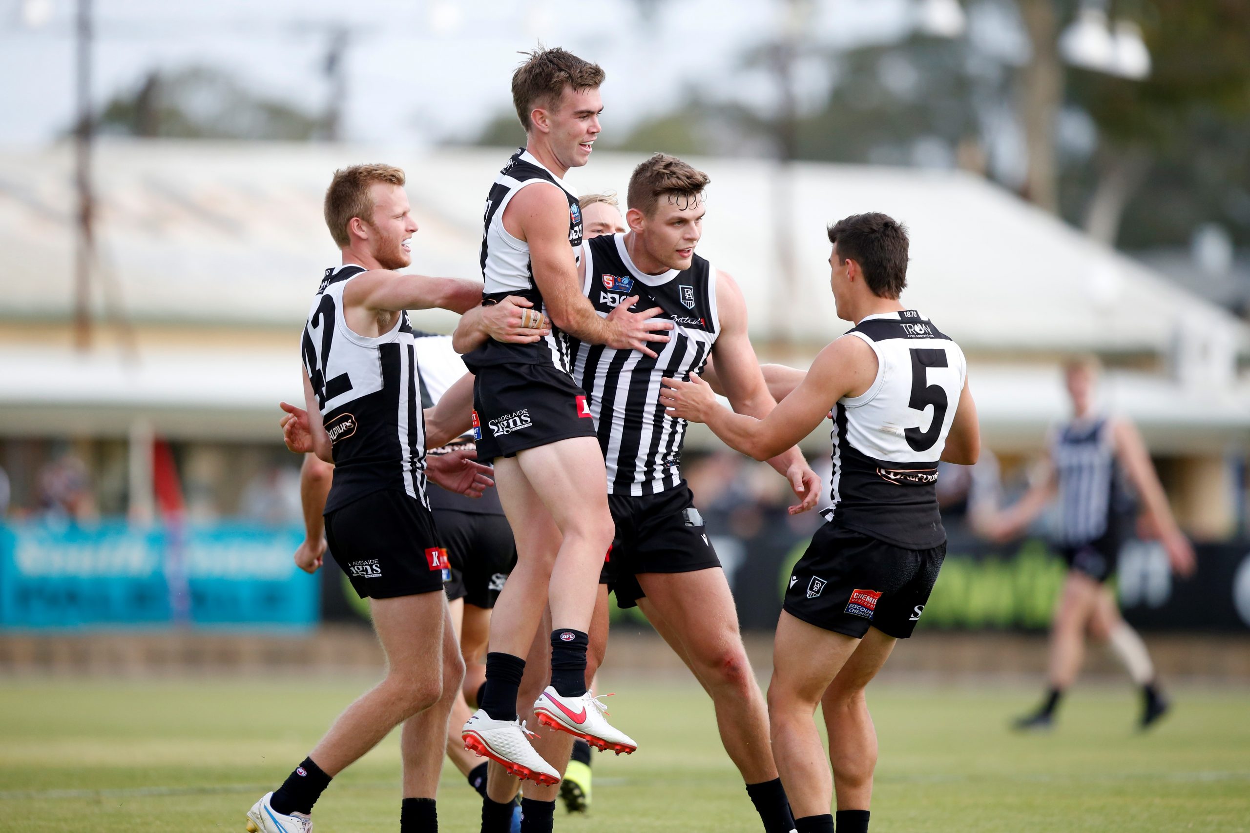 SANFL & AFL Showdown double-header set for Adelaide Oval - SANFL