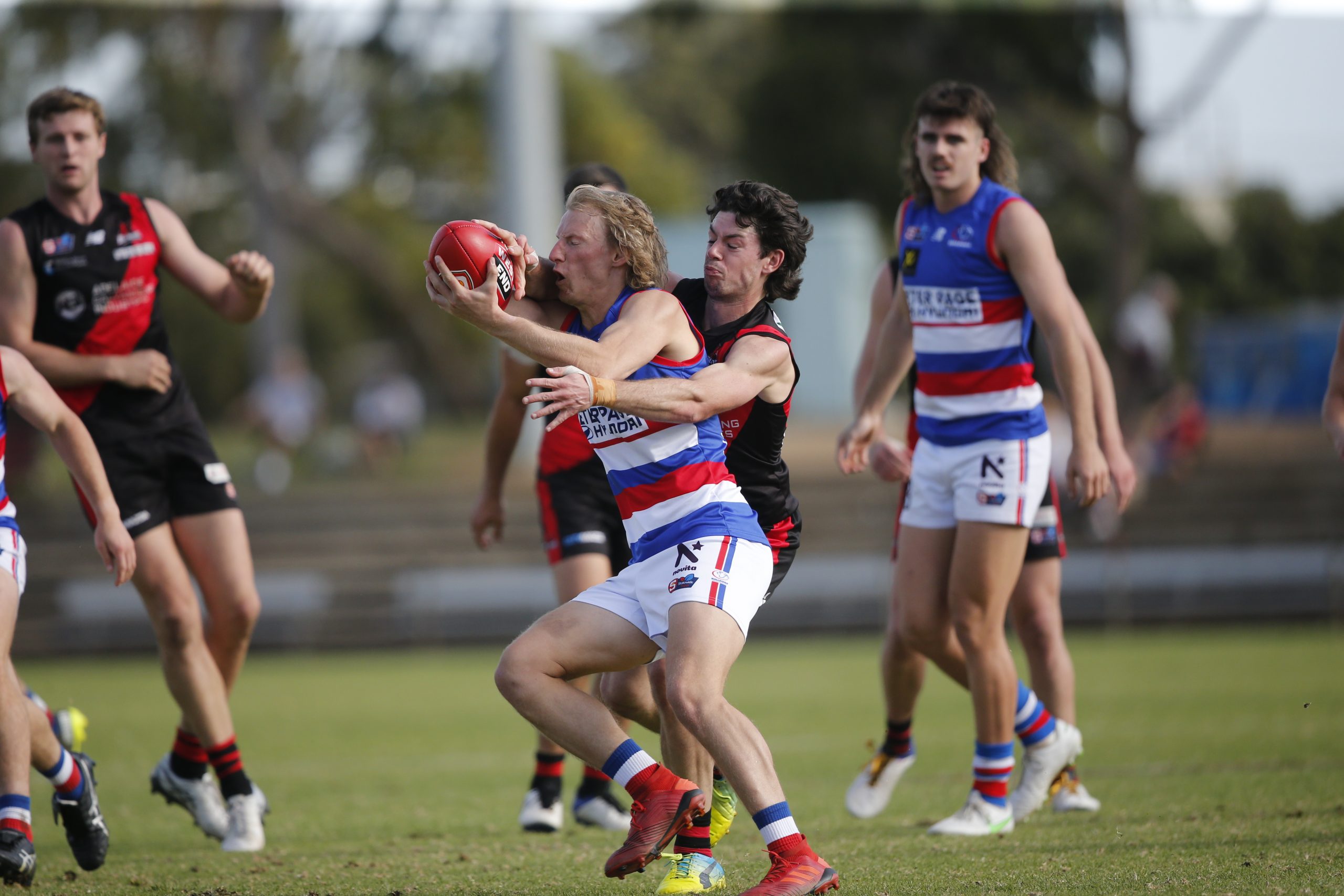 SANFL Snapshot - Saturday - SANFL
