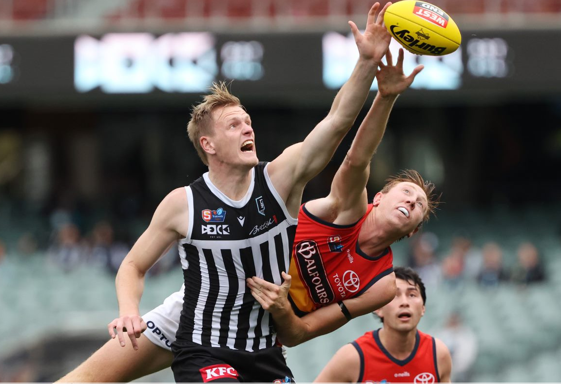 SANFL Snapshot - Saturday - SANFL