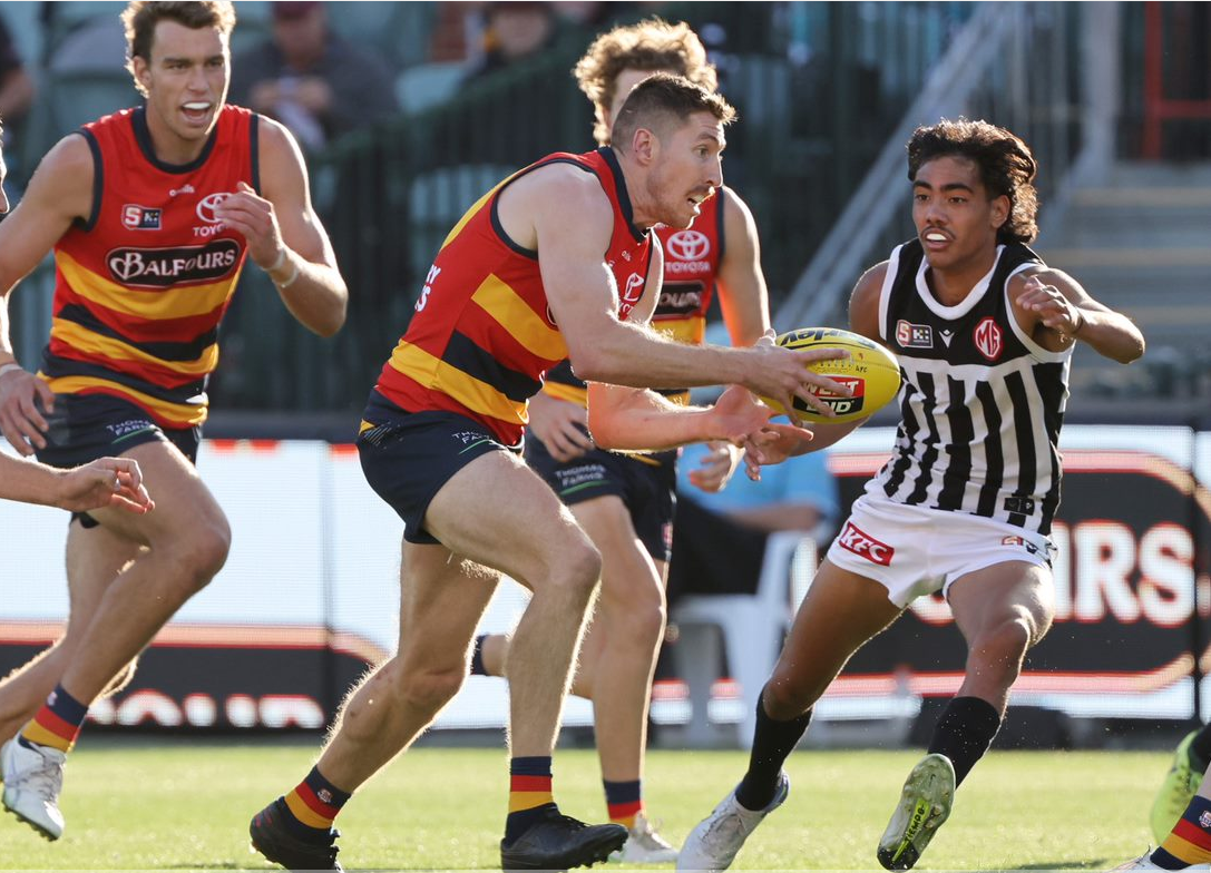 Sharrad flies high for 100 SANFL games - SANFL