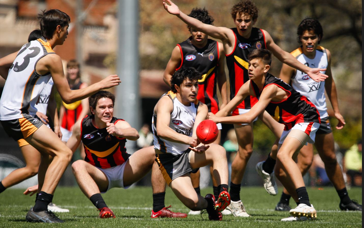 SANFL searches far and wide for diverse talent - SANFL