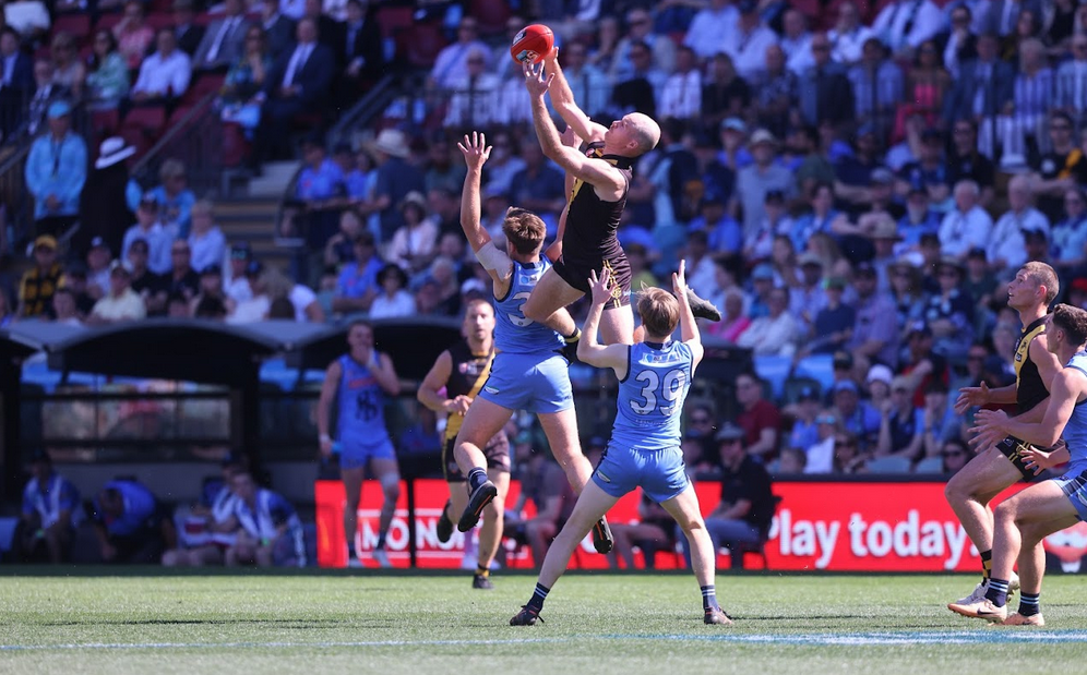 Cole finds his calling at the Bay - SANFL