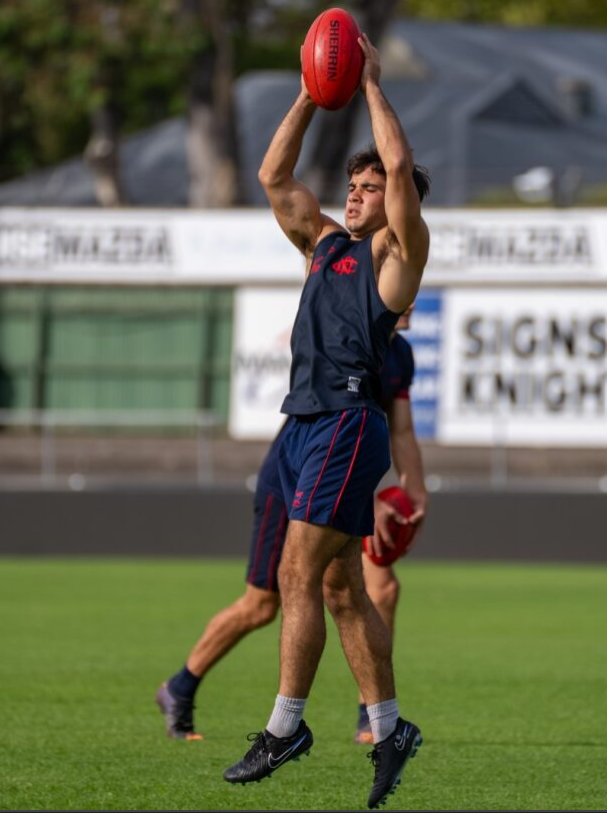 2024 Hostplus Norwood Pocket Profile - SANFL