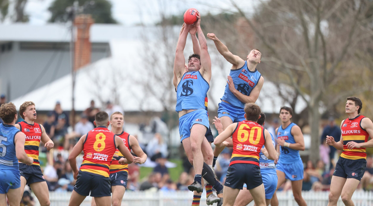 Round 19 Hostplus SANFL Snapshot - Saturday - SANFL