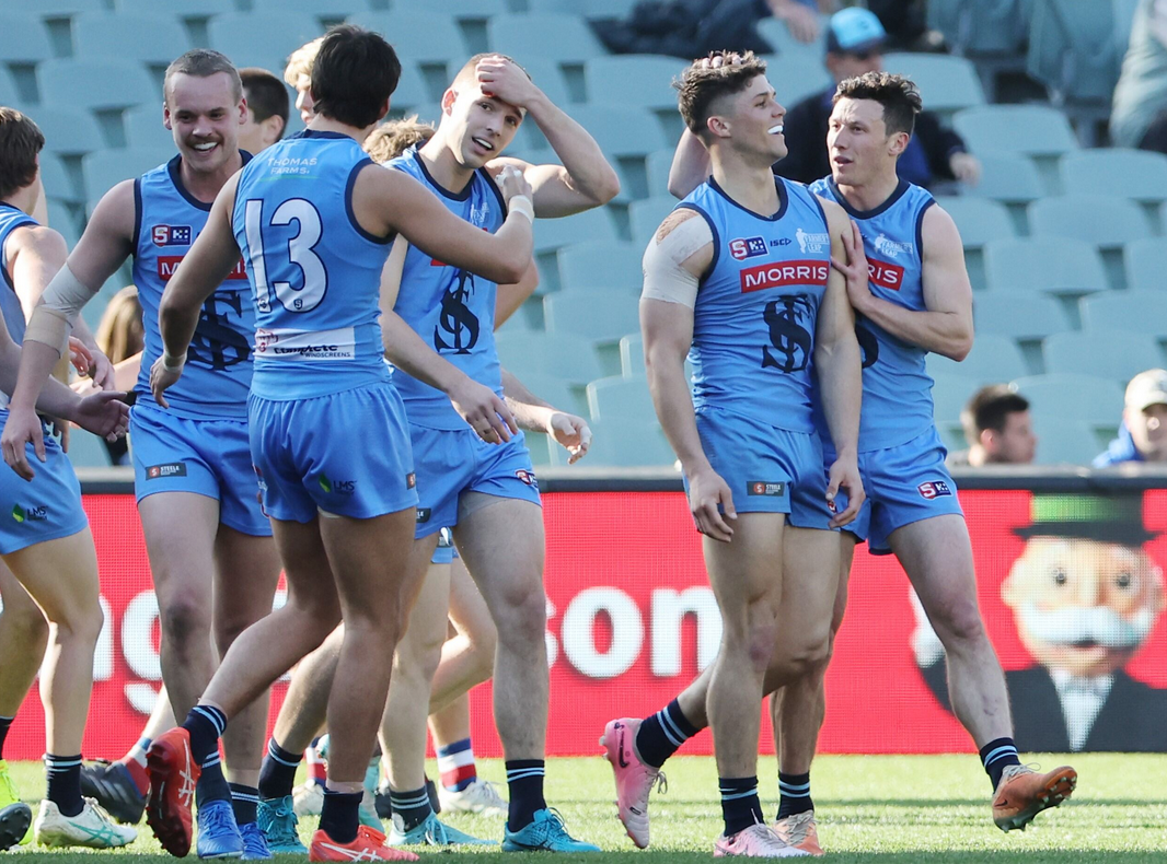 Stanley H Lewis Trophy - SANFL