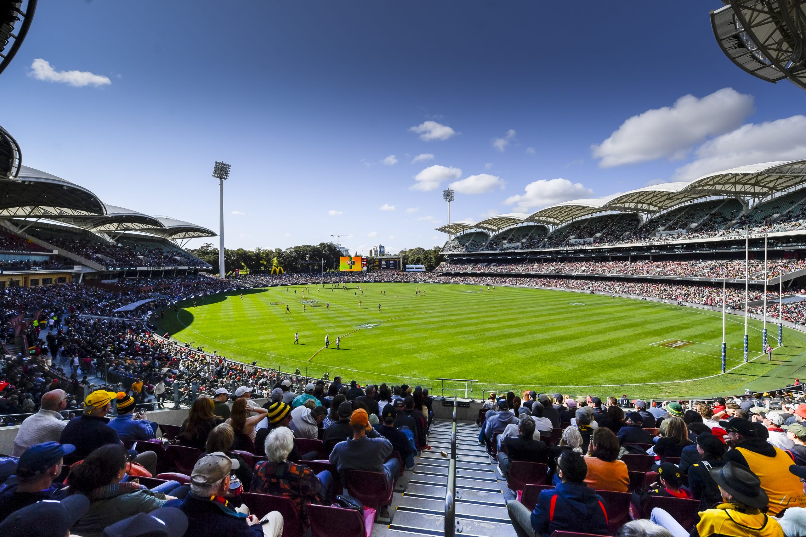 SANFL builds momentum with solid financial performance - SANFL