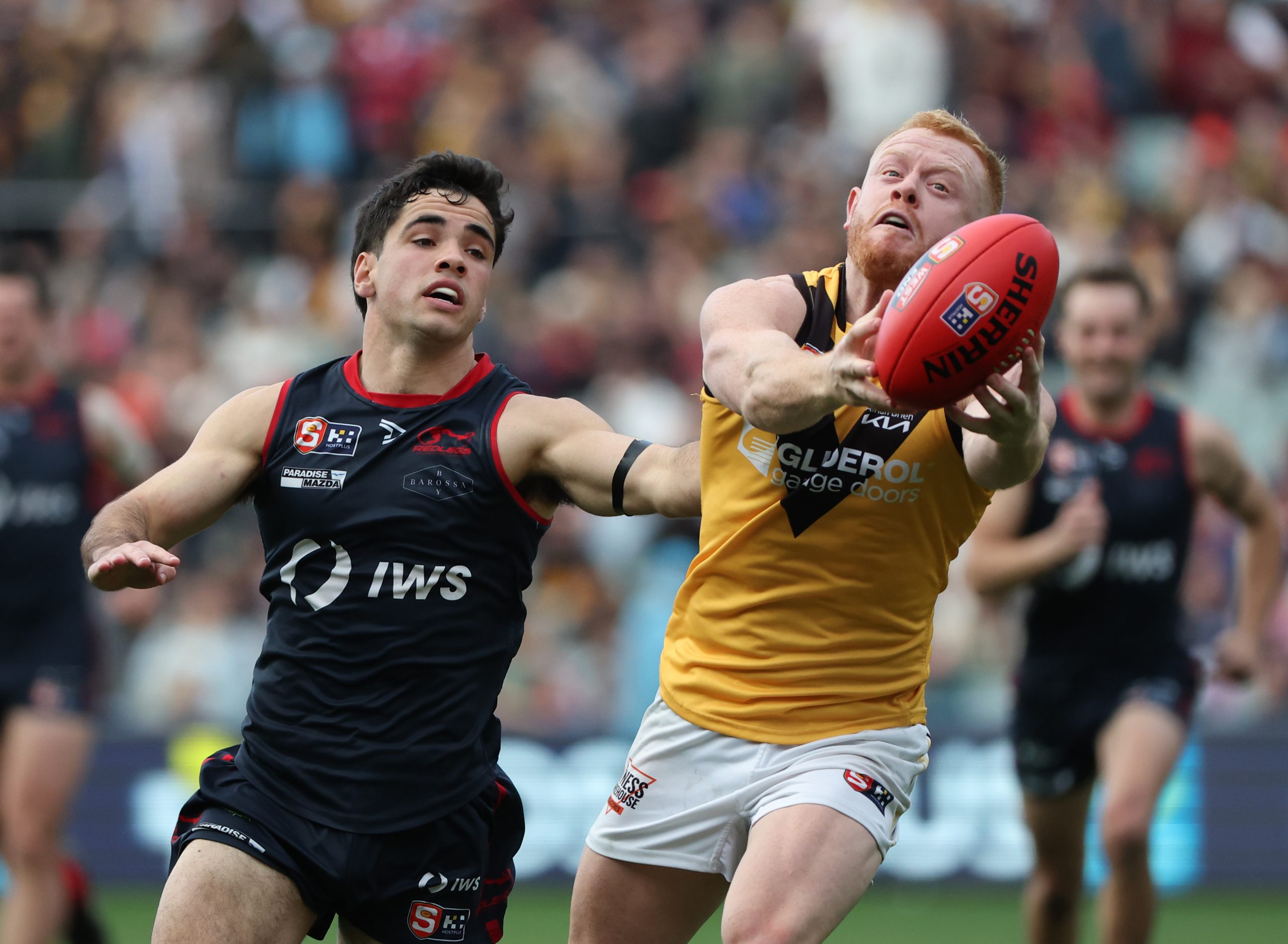 Darcy's long wait for 150 games - SANFL