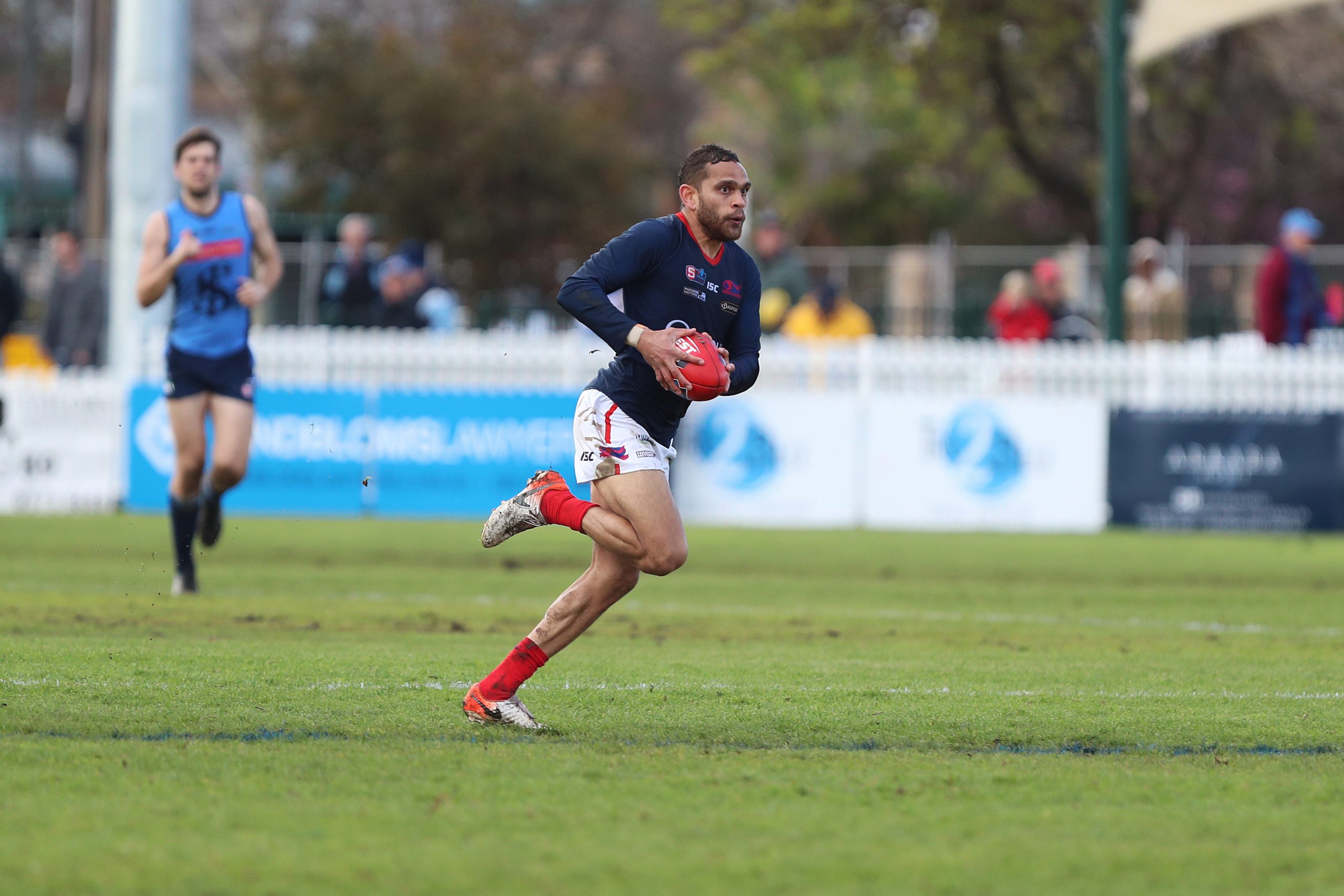 Dom Barry 50 Games Highlights - Norwood Football Club