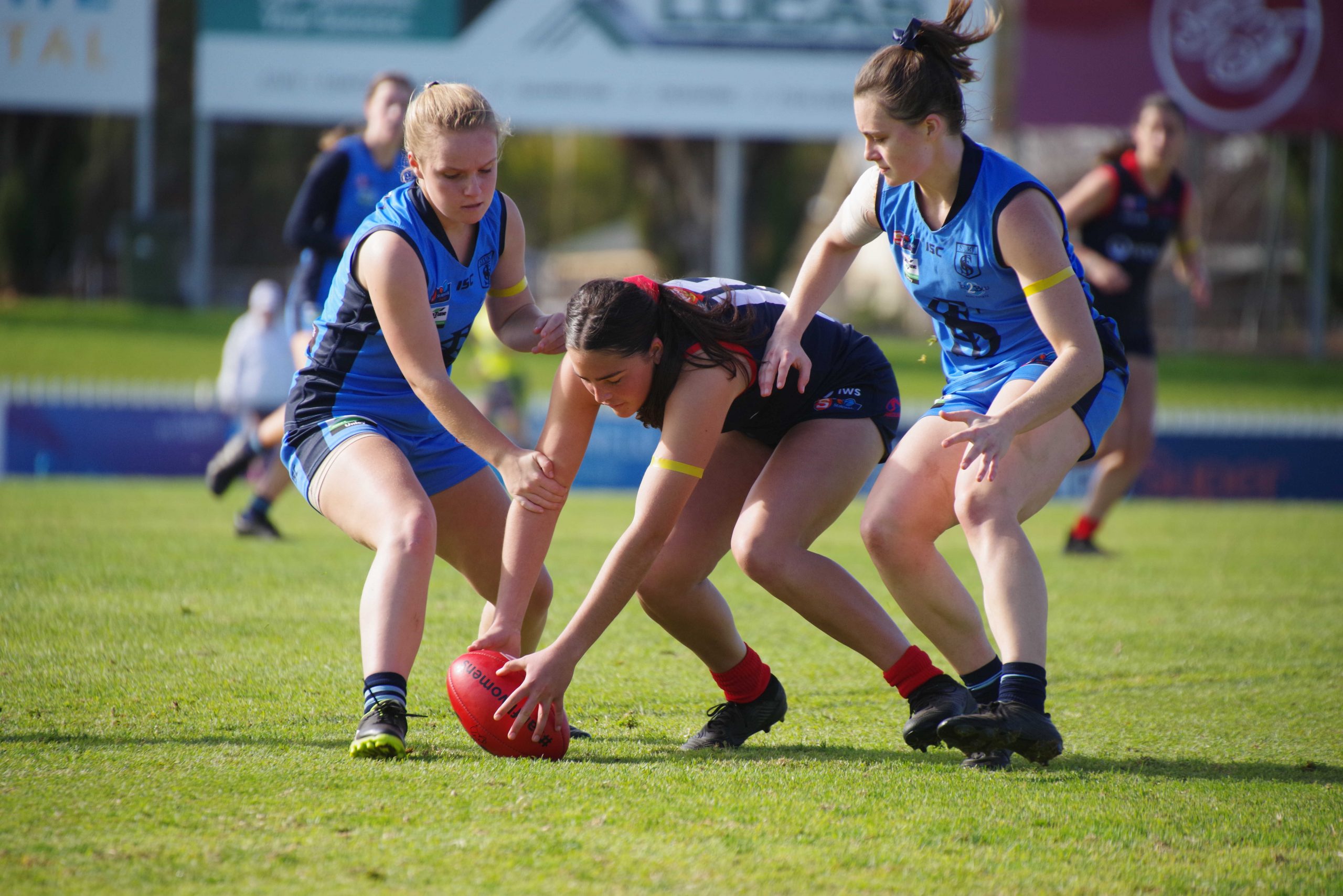 Redlegs rescue draw against Double Blues - Norwood Football Club