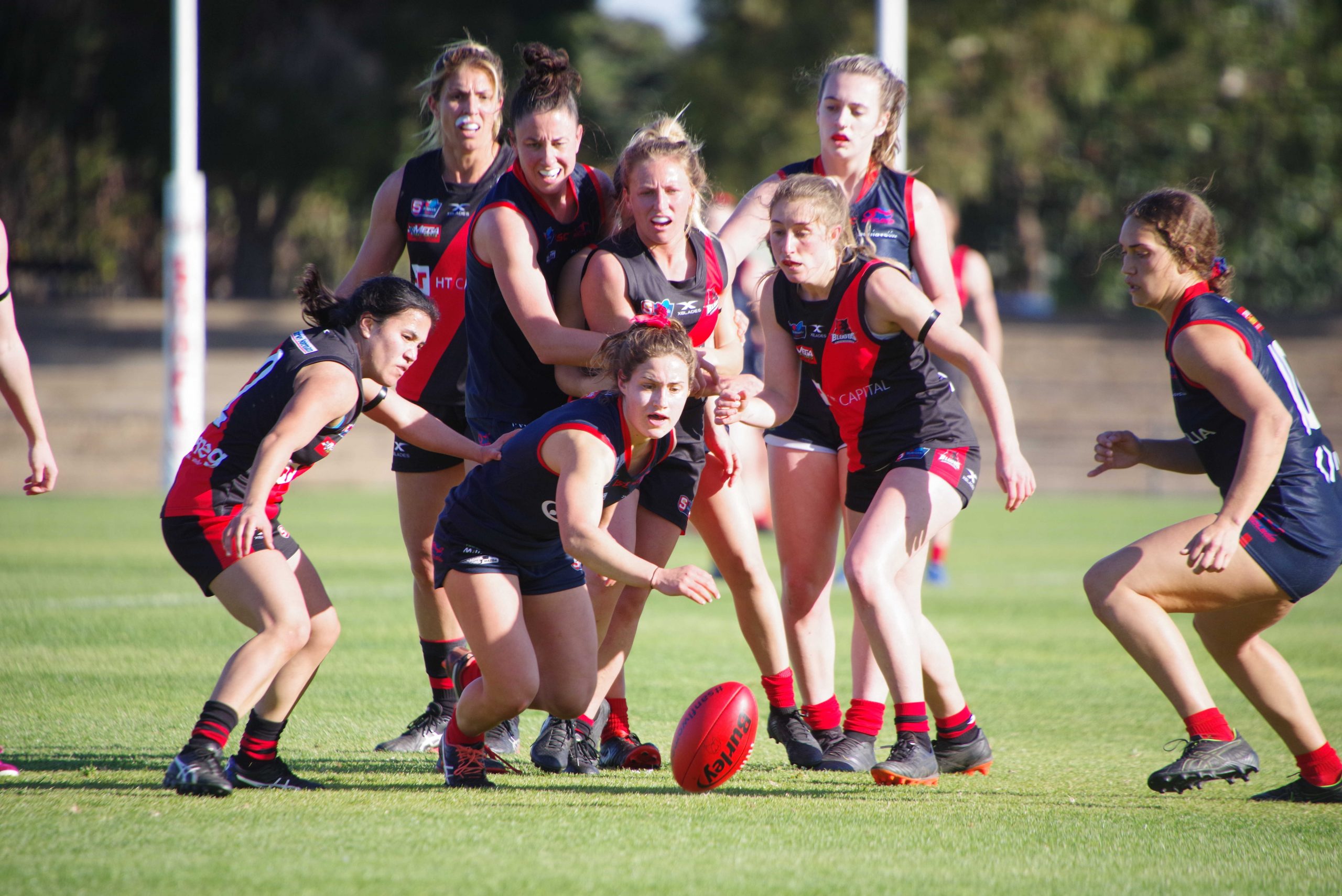 Round One revealed: Redlegs to host Bloods at Coopers Stadium - Norwood ...