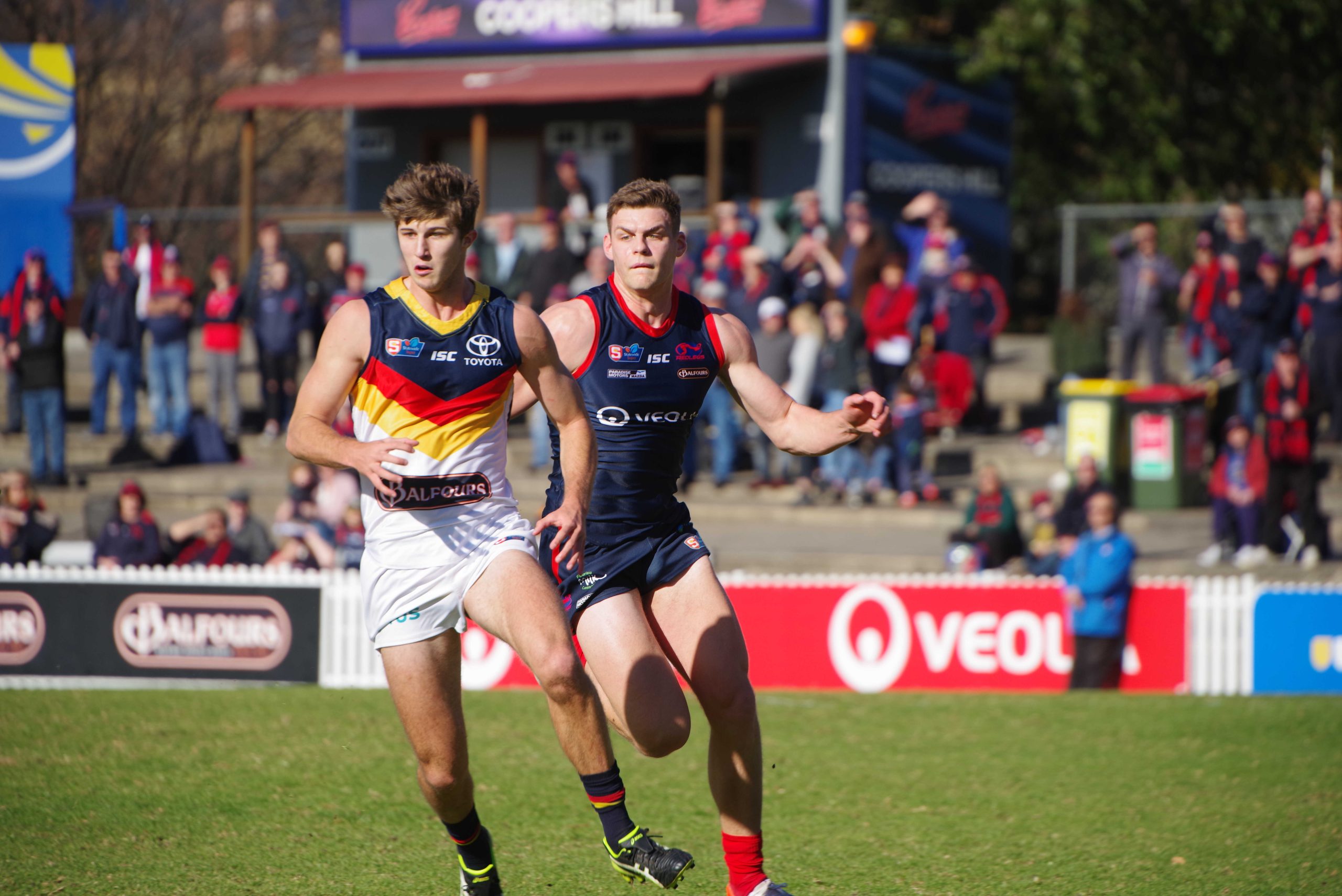 Luke Surman returns to Norwood - Norwood Football Club
