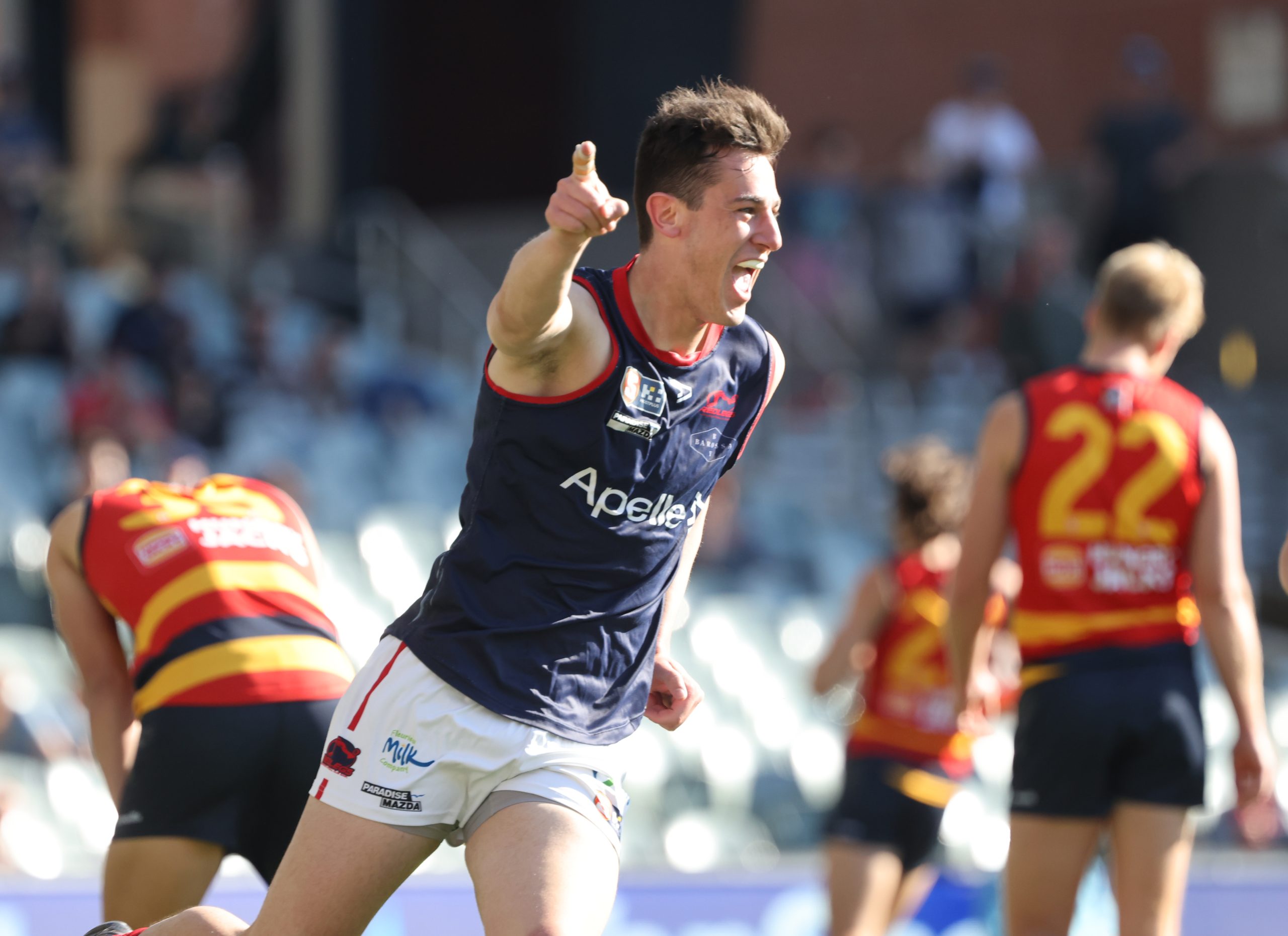 2022 SANFL Finals Ticketing Information - Norwood Football Club