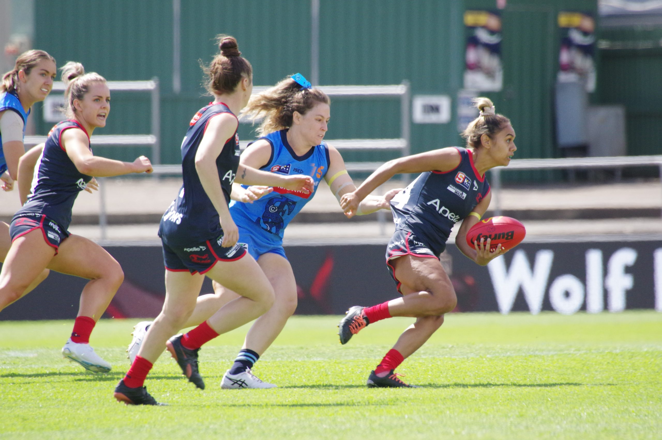 Teams: SANFLW, Development League, U18 and U16 - Norwood Football Club