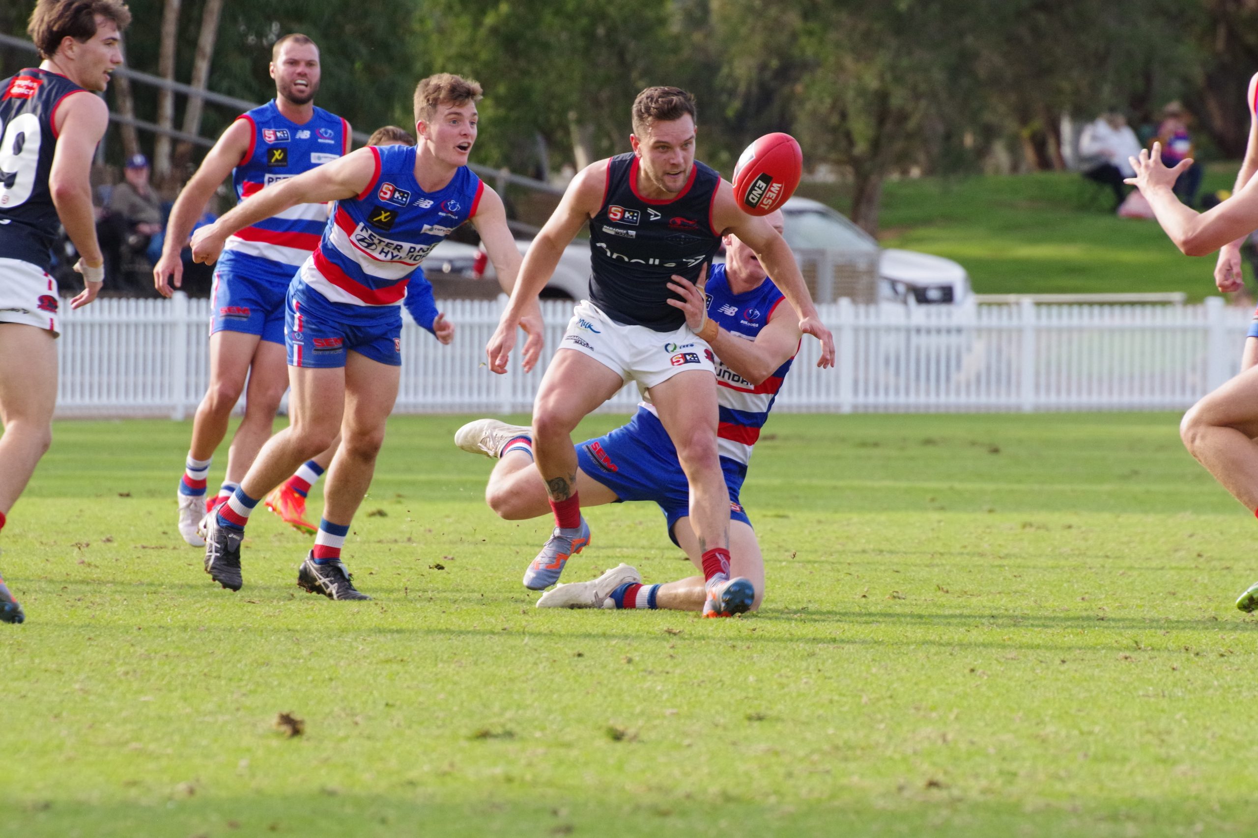 SANFL Teams - Round 9 - Norwood Football Club