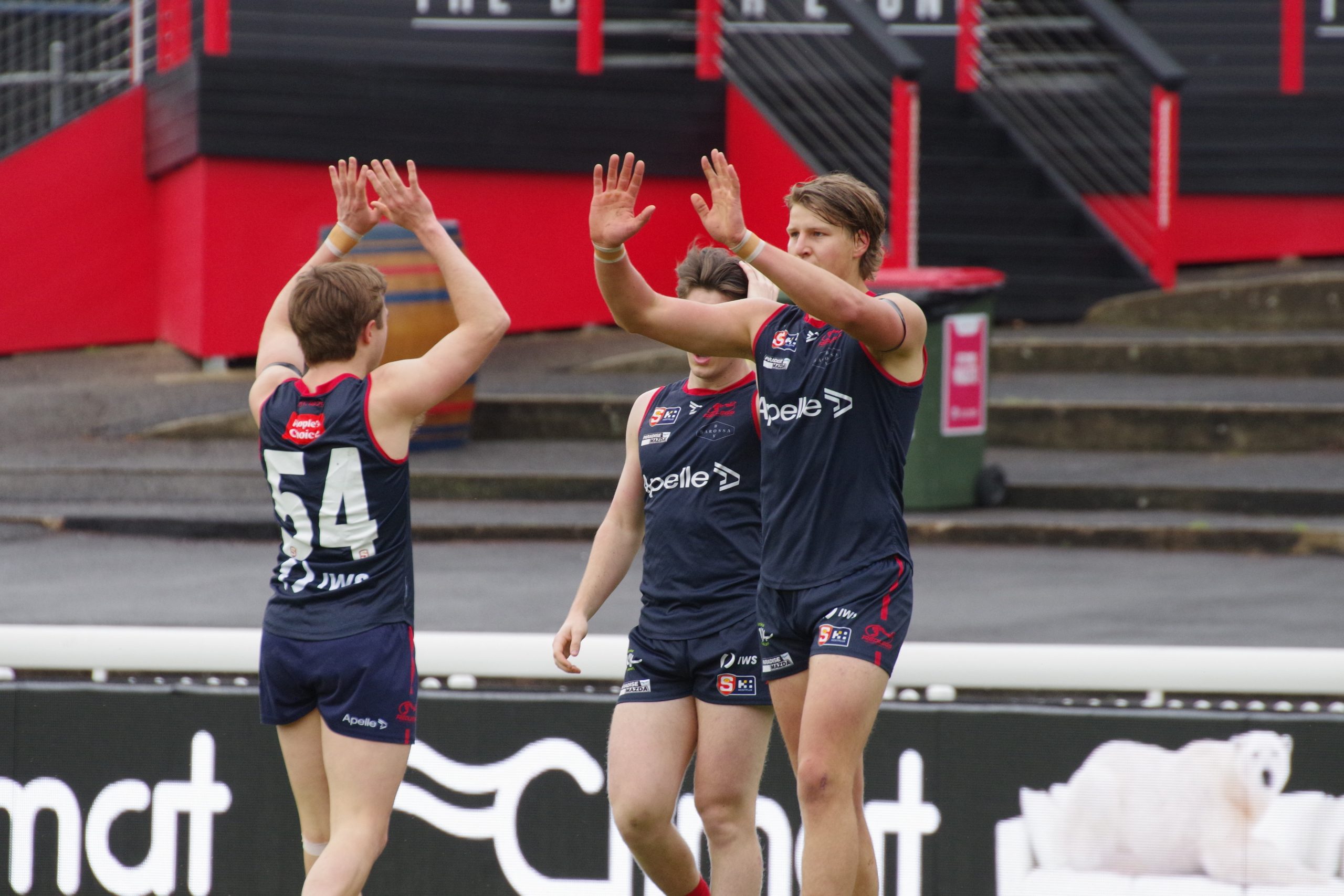 Memorable win keeps Finals hopes alive for Reserves - Norwood Football Club