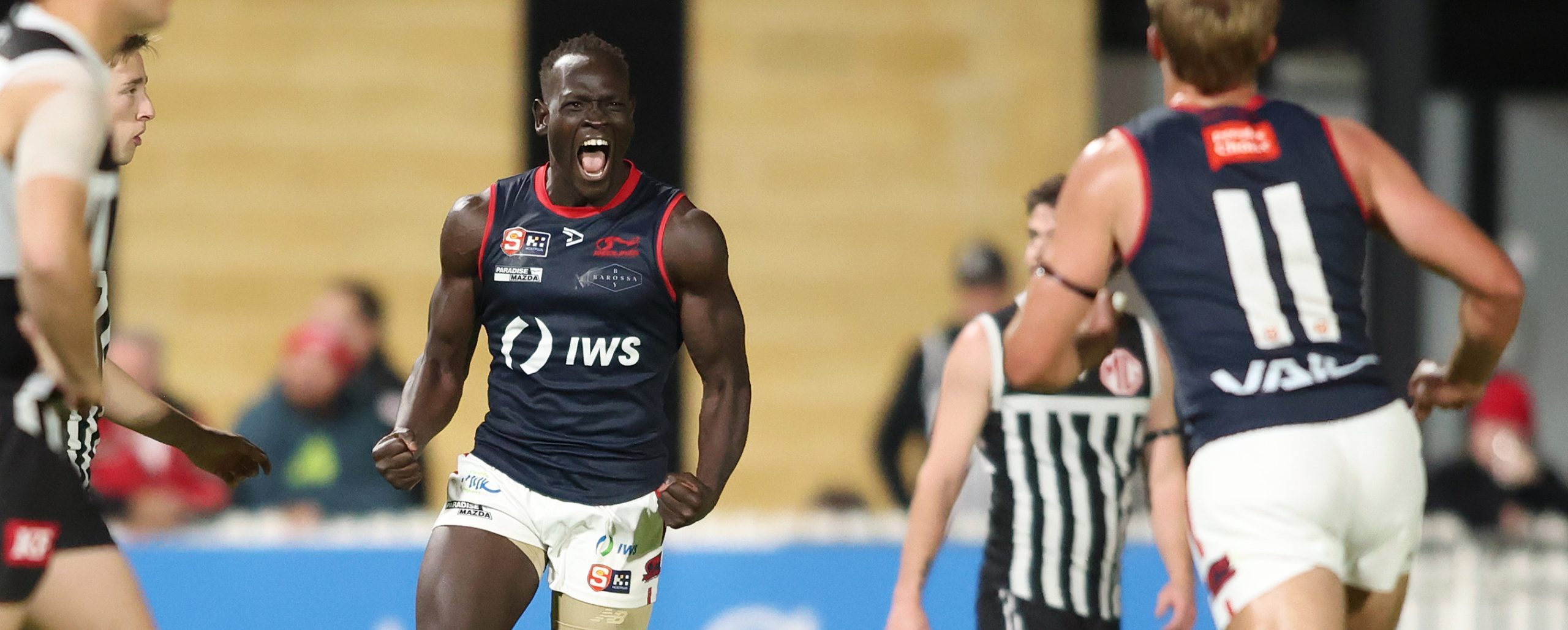 SANFL Teams: Round 5 - Norwood Football Club