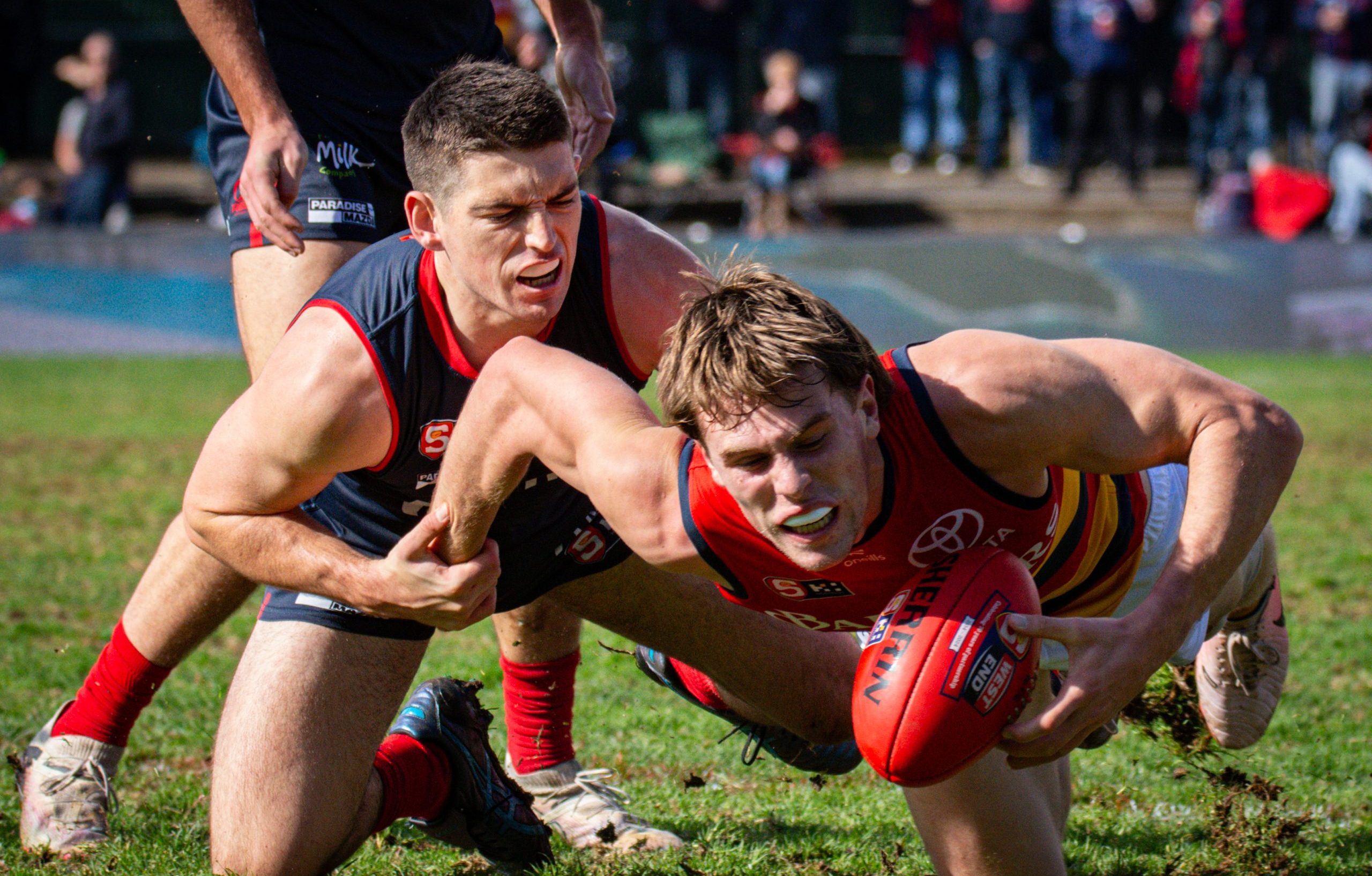 Redlegs smack Crows to make it four on the trot - Norwood Football Club