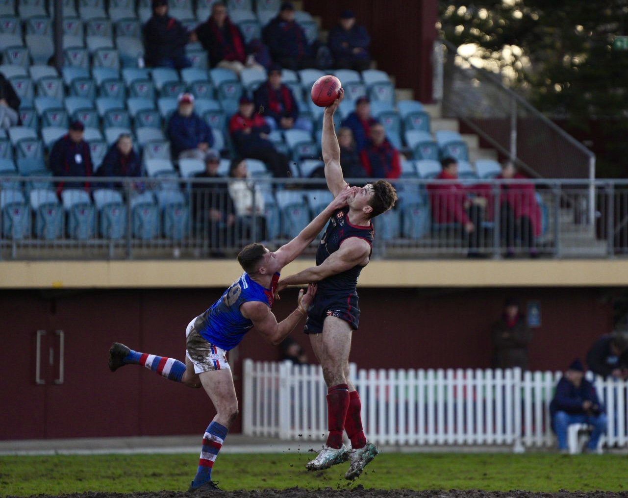 Harry Boyd leads the way in seven-goal win over the Dogs - Norwood ...