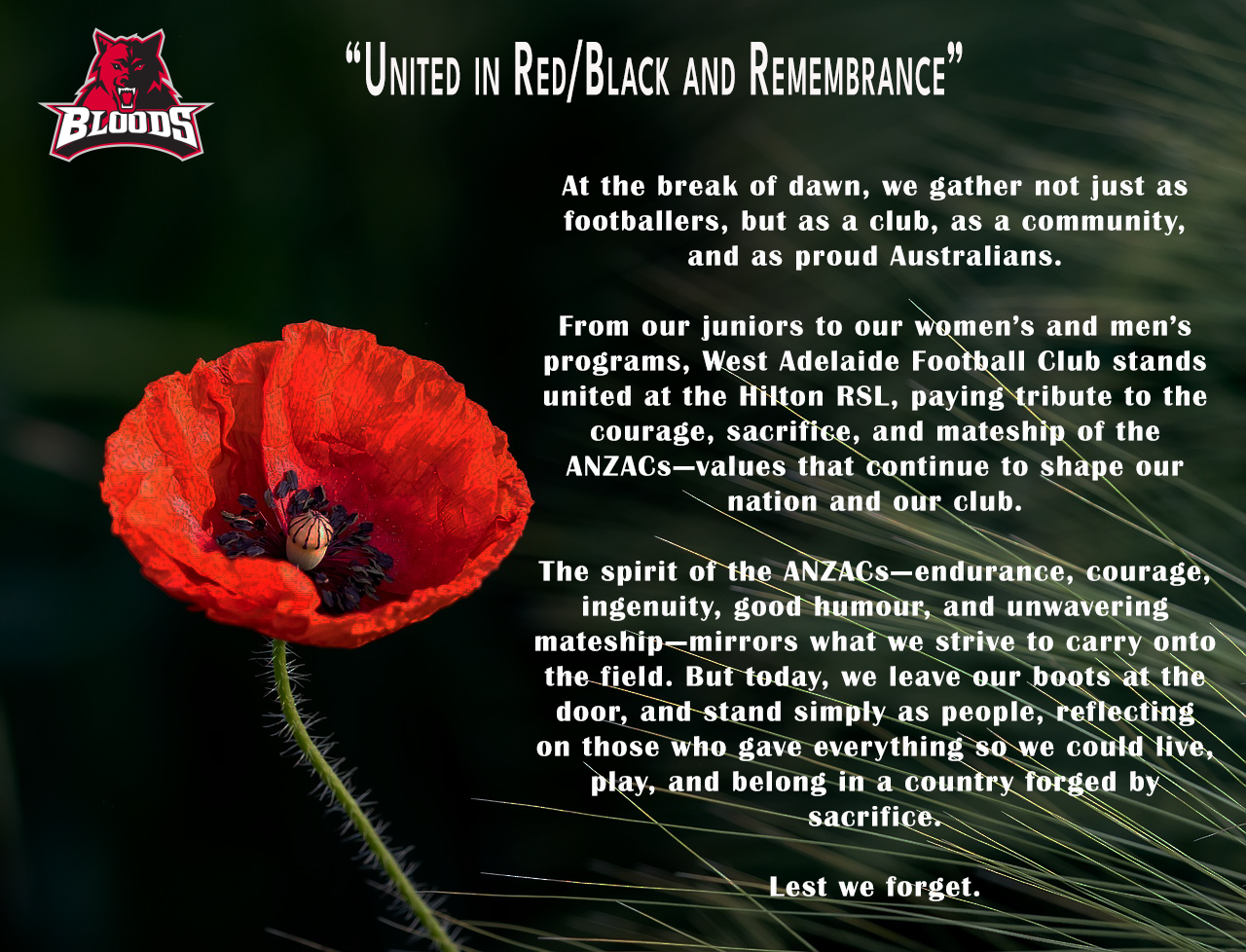 Anzac Courage Quotes