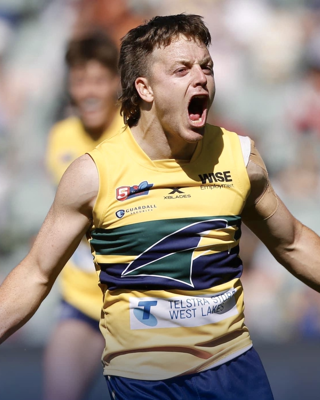 Premierships - Woodville-West Torrens Football Club