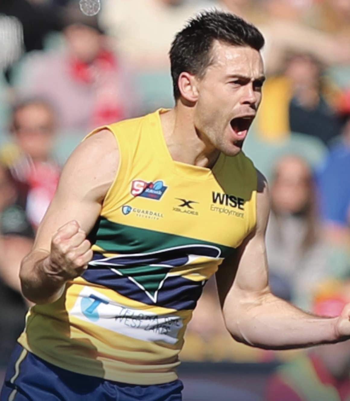 Premierships - Woodville-West Torrens Football Club