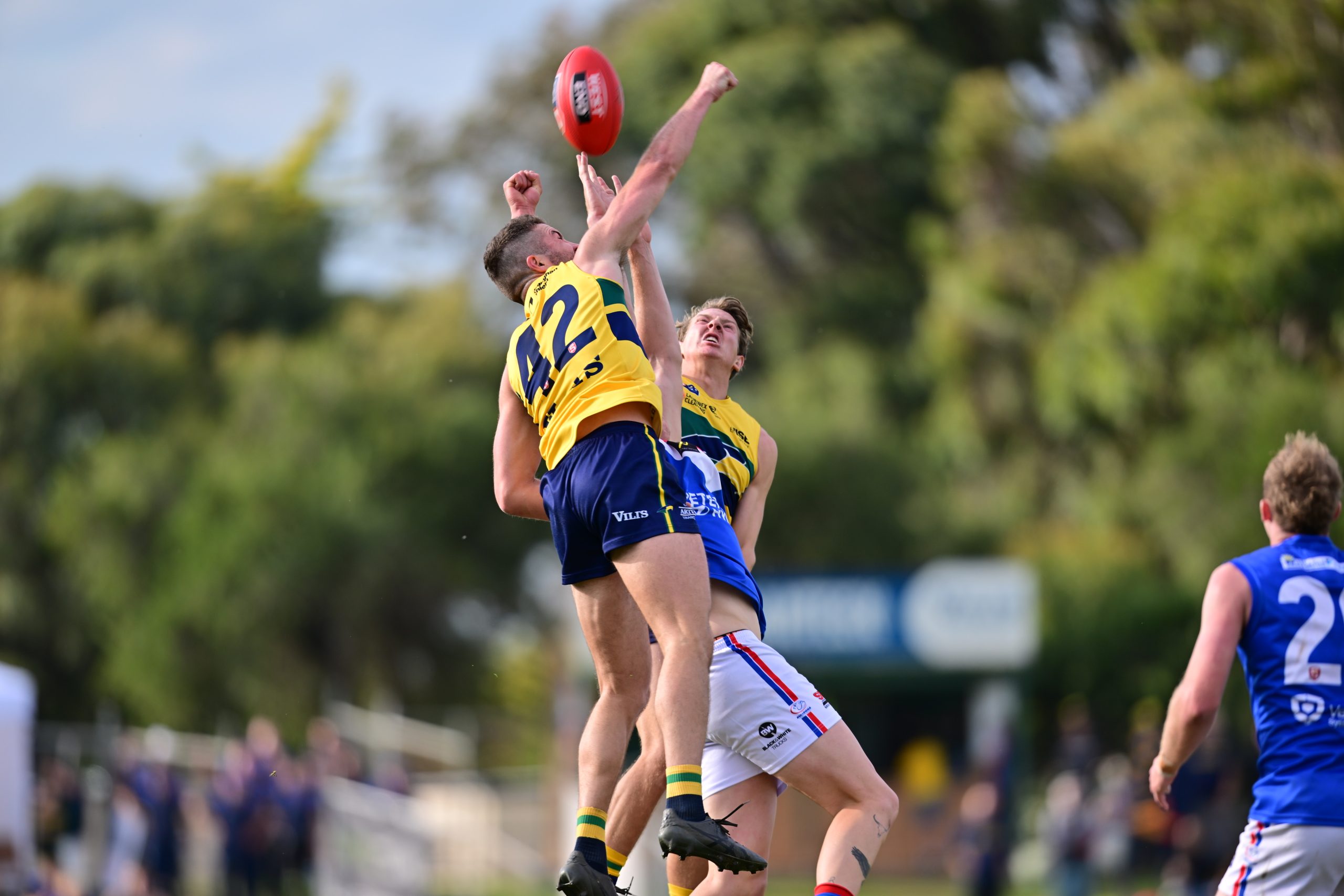 Jones Radiology Injury Report - Woodville-West Torrens Football Club