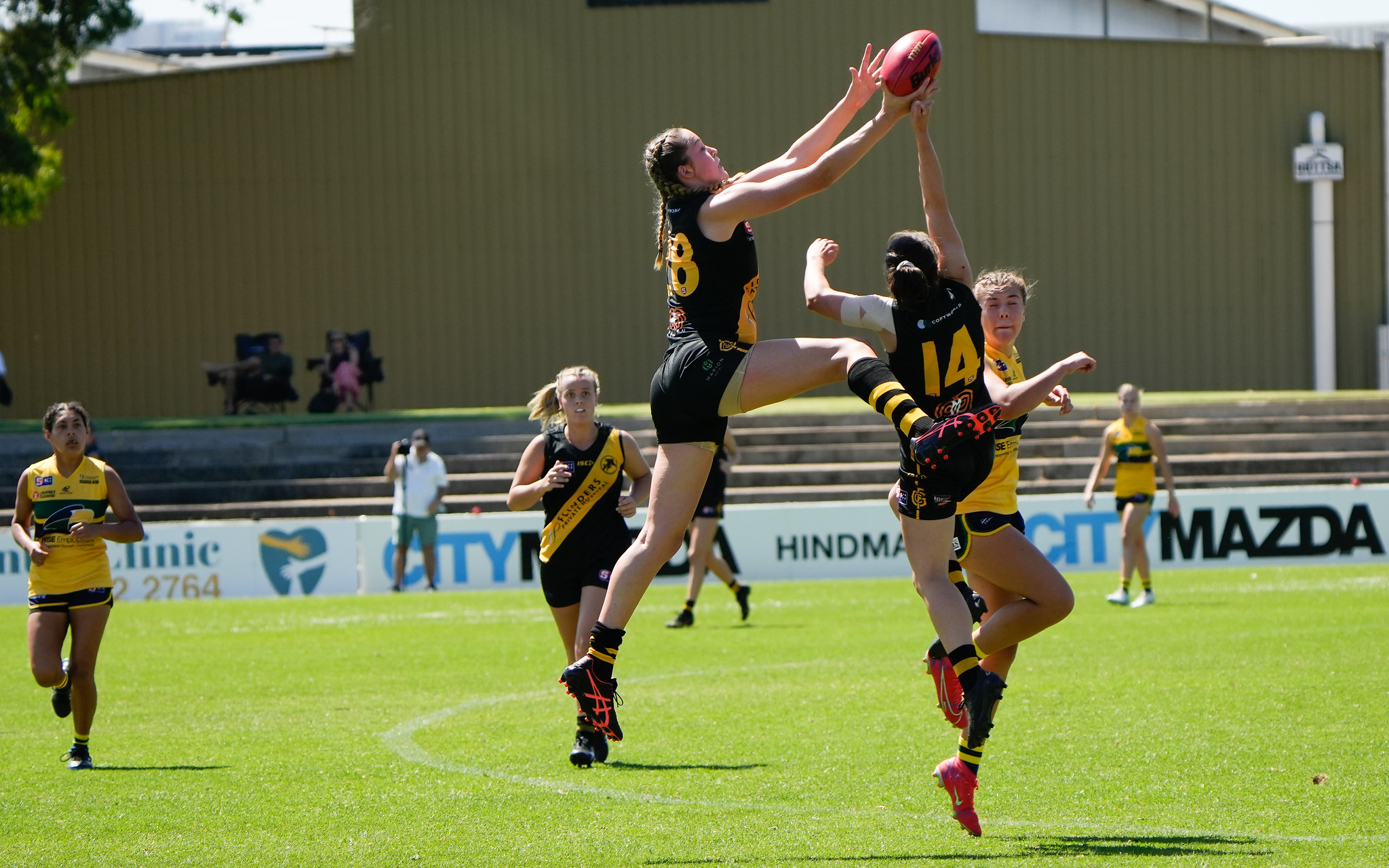 Tigers show grit against Eagles - Glenelg Football Club