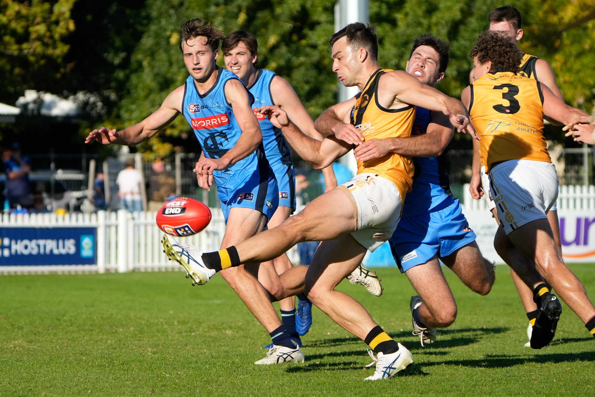Tigers pull off huge comeback against Double Blues - Glenelg Football Club