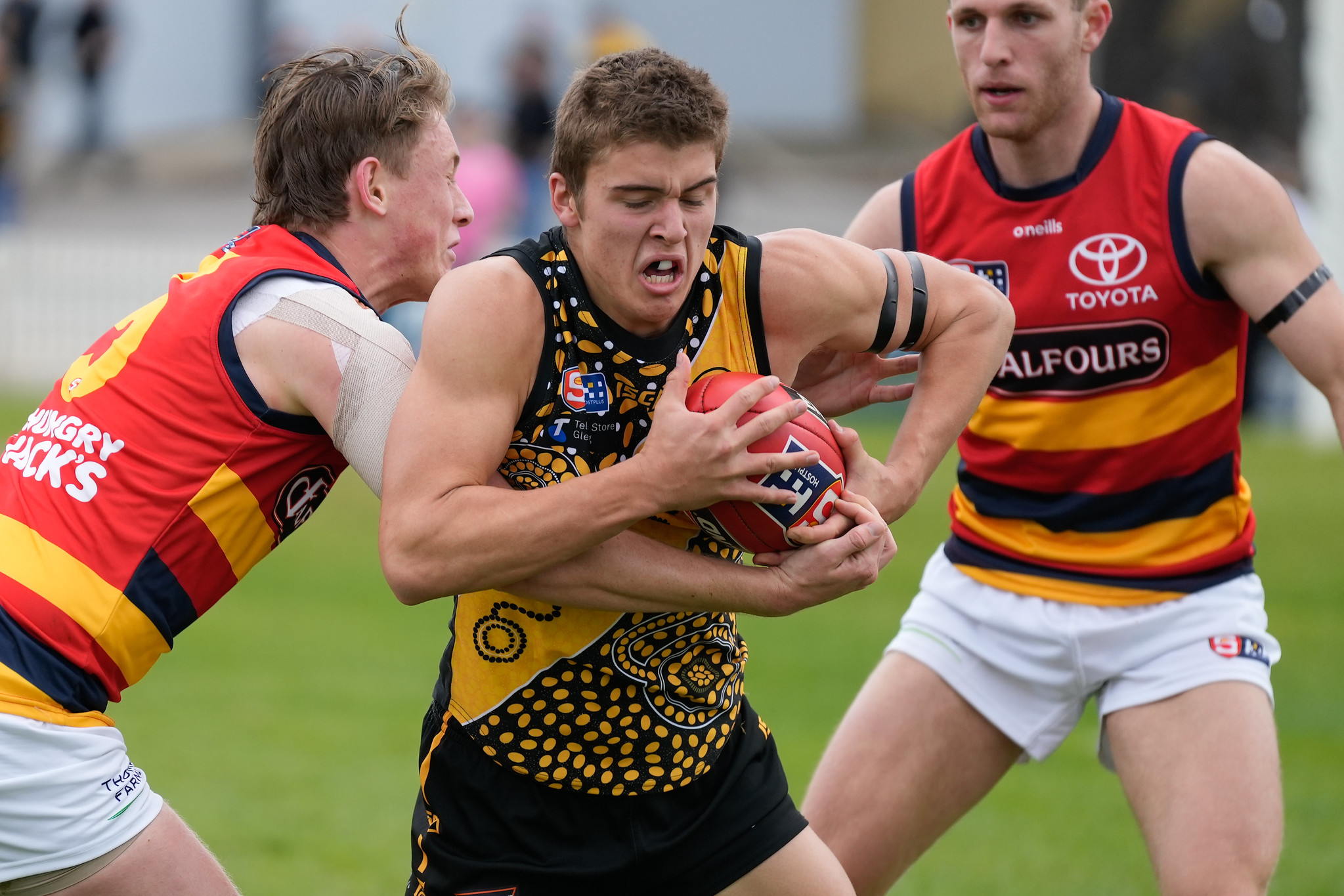 Crows completely dominate Tigers - Glenelg Football Club