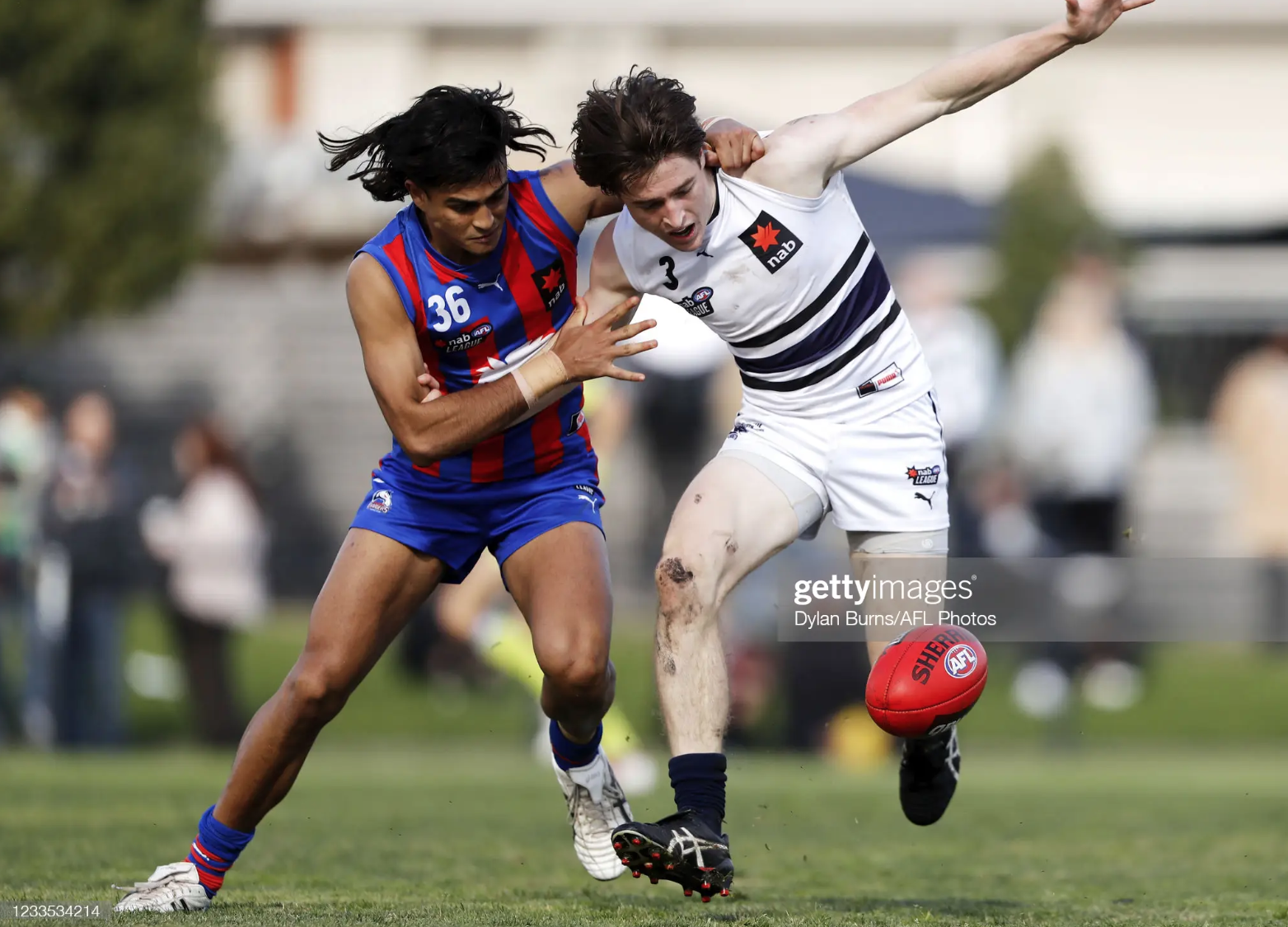 Bays sign St Kilda Academy player Scott Beilby - Glenelg Football Club