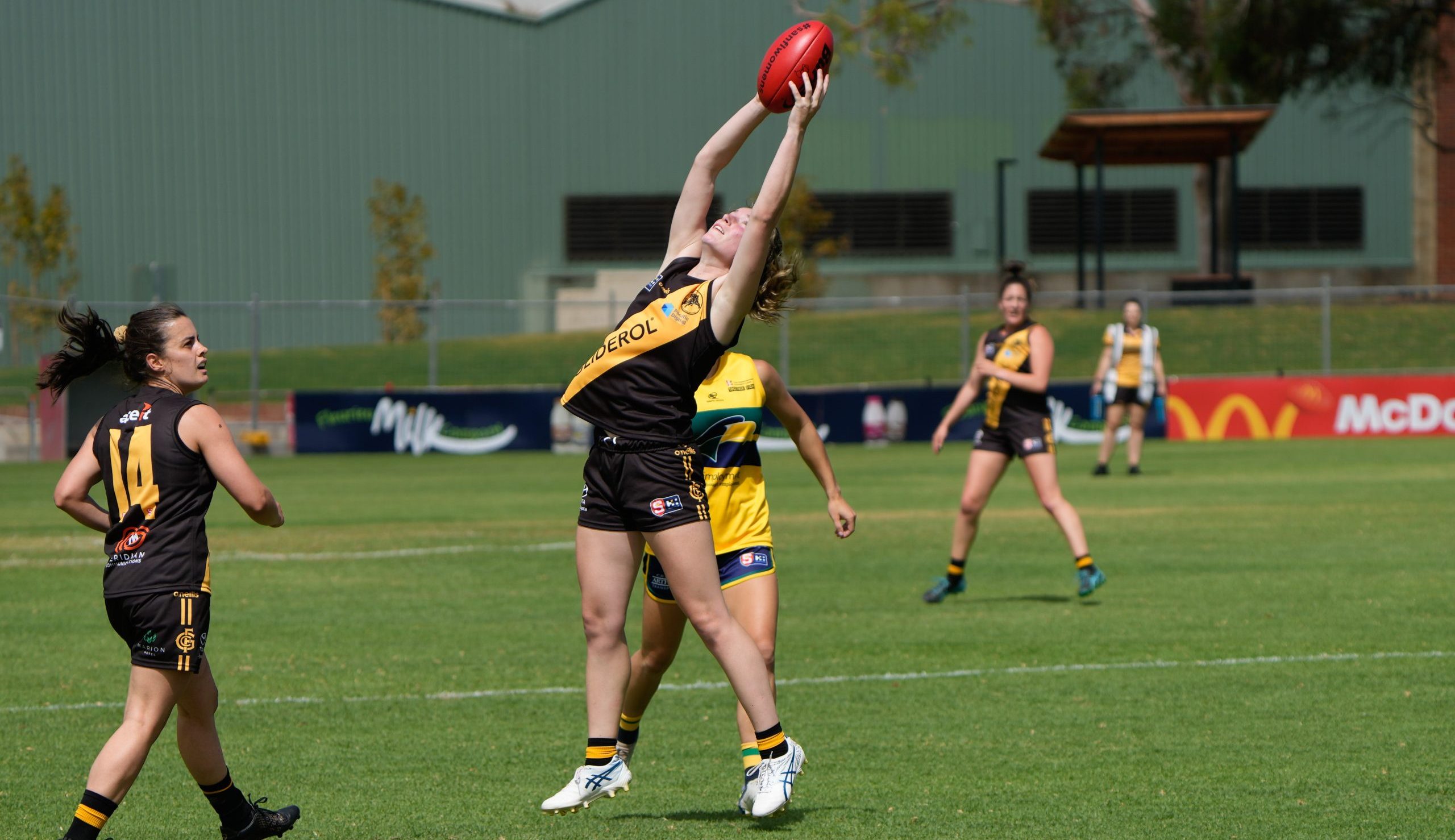 Tigers secure 1st win of season - Glenelg Football Club